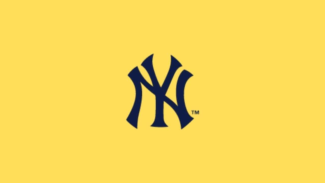 Who Are Austin Capobianco And John Peter, New York Yankees Fans Who Got ...