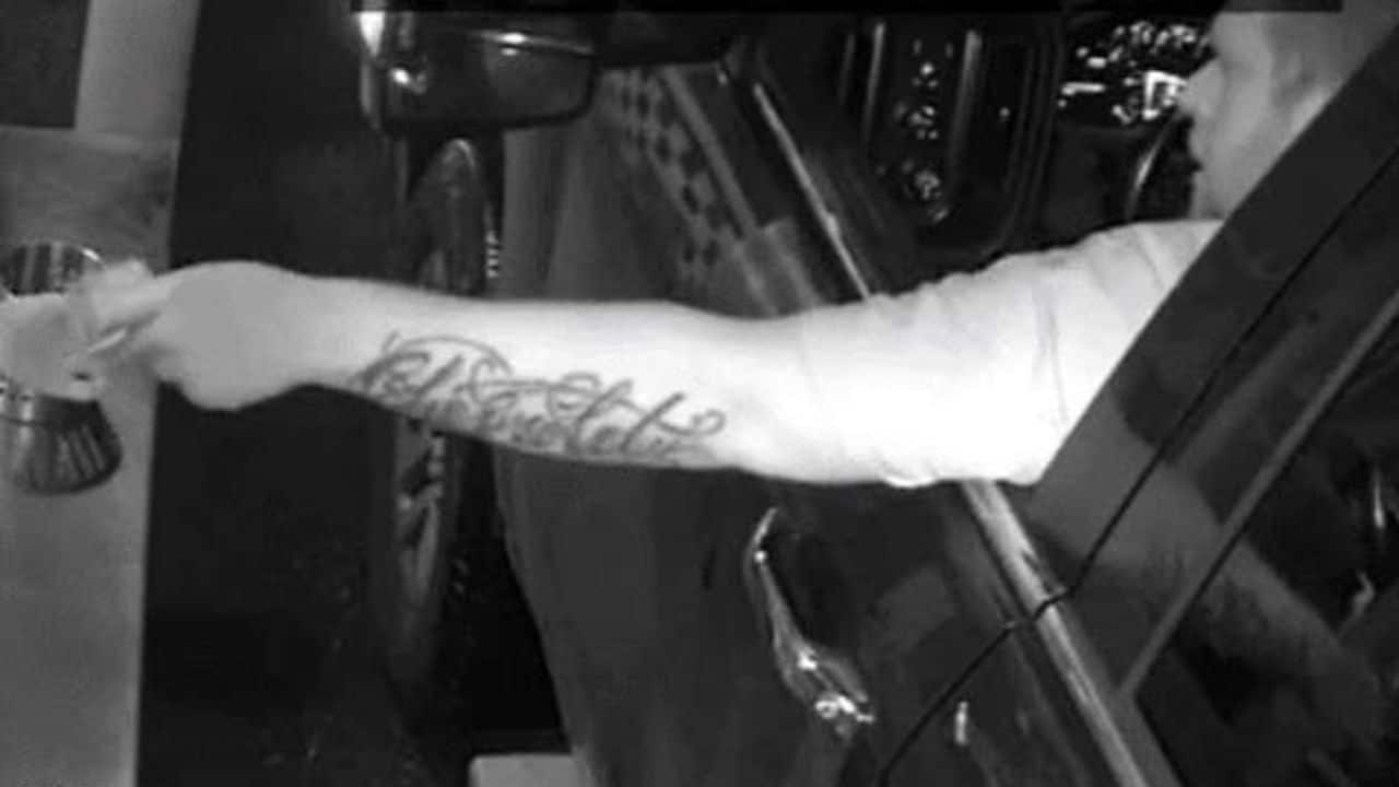 Watch Matthew Darnell Tries To Kidnap Seattle Beankini Espresso Bikini Clad Barista, Video Goes ...