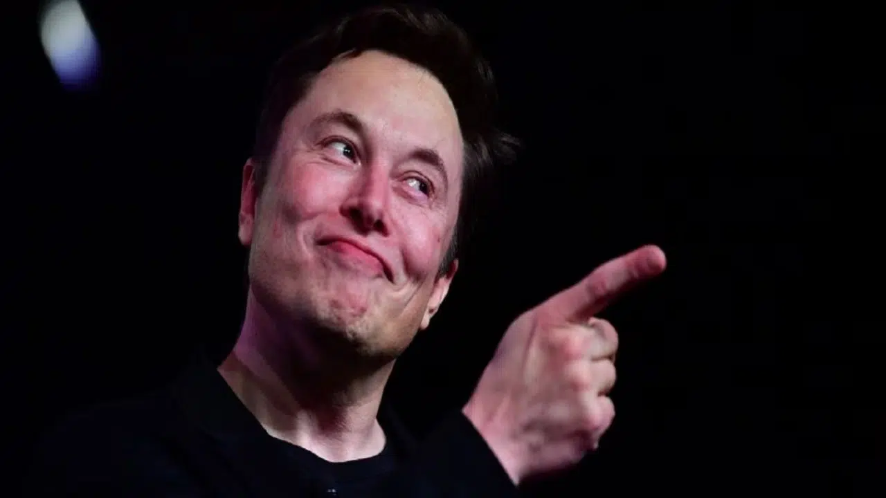 What Is The Meaning Of Harry Bolz As Elon Musk Changes Name On Twitter ...