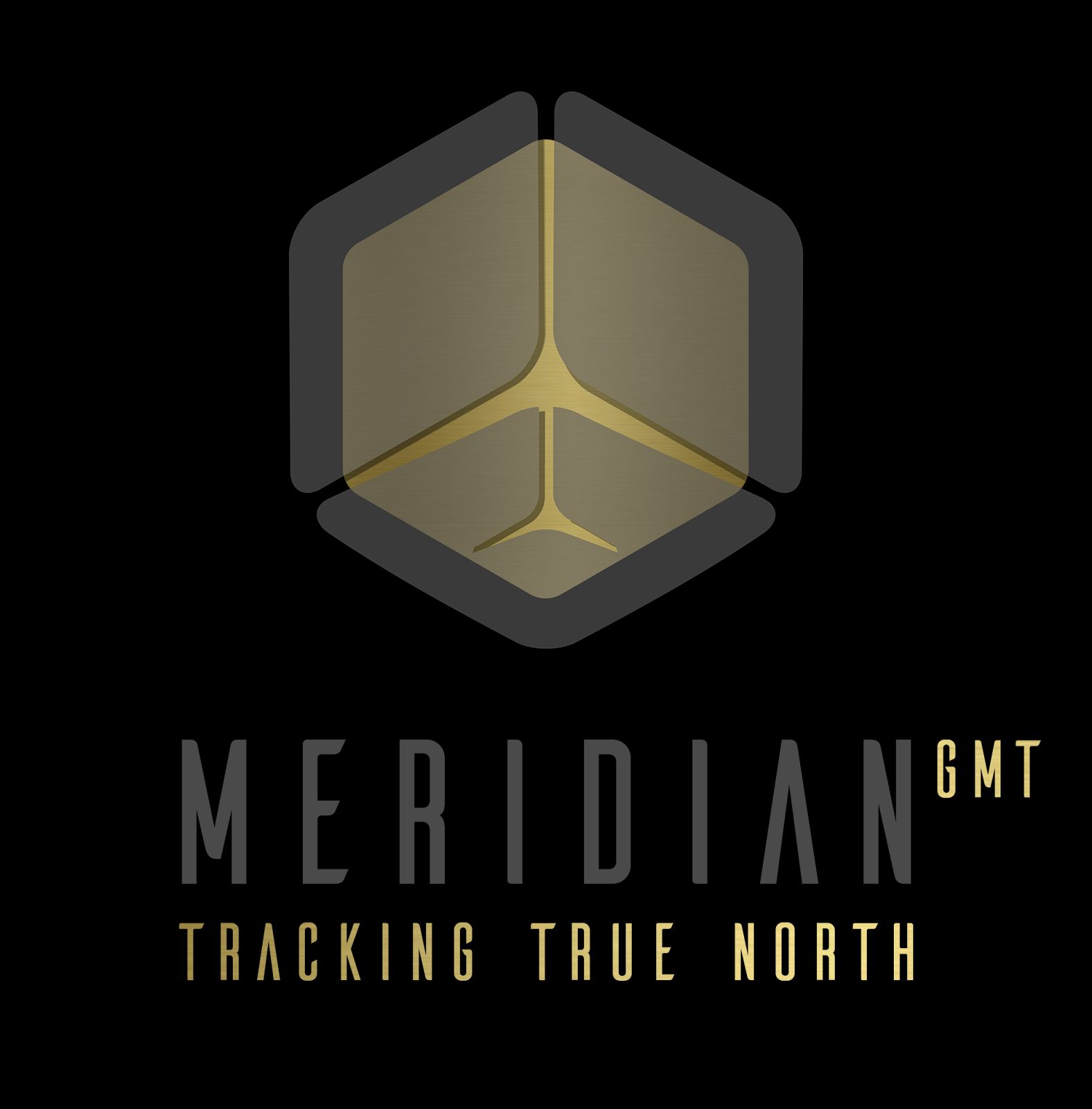 A Global Reach With A Local Touch! Meridian GMT Releases Full Product ...